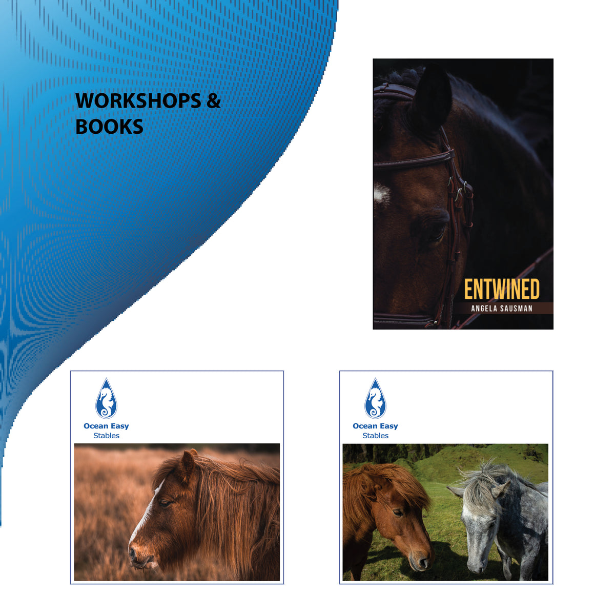 Entwined (softcover book, workshop and downloads) – Ocean Easy Stables